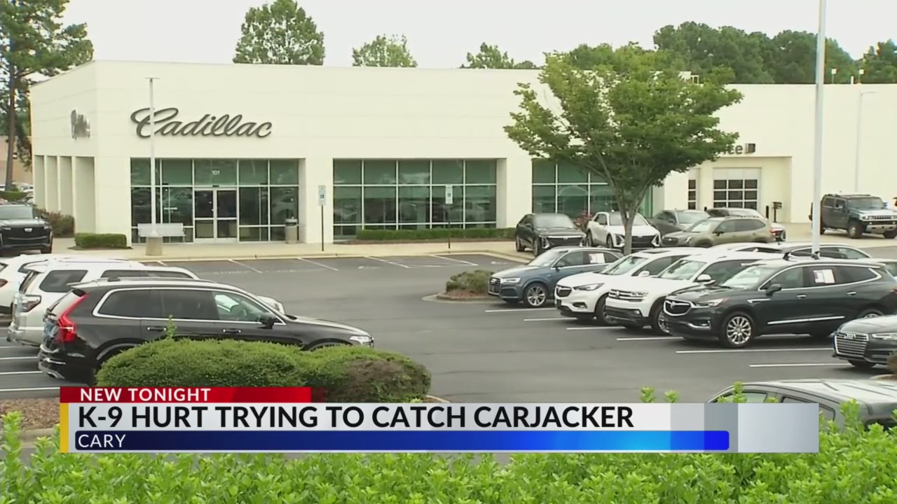 Man steals truck at gunpoint; hits Cary police K-9 during chase ...