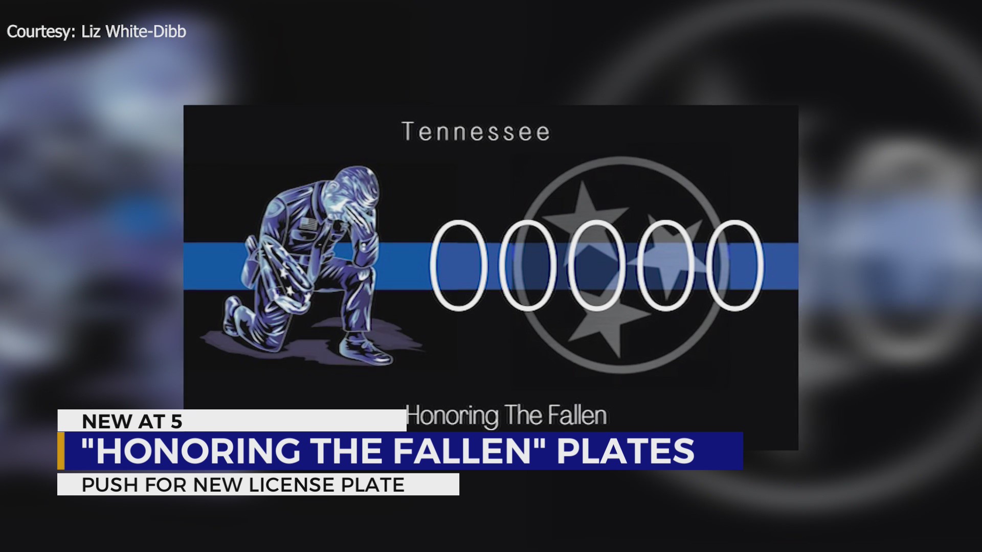 Proposed Tennessee license plate to honor fallen police officers – WJHL ...
