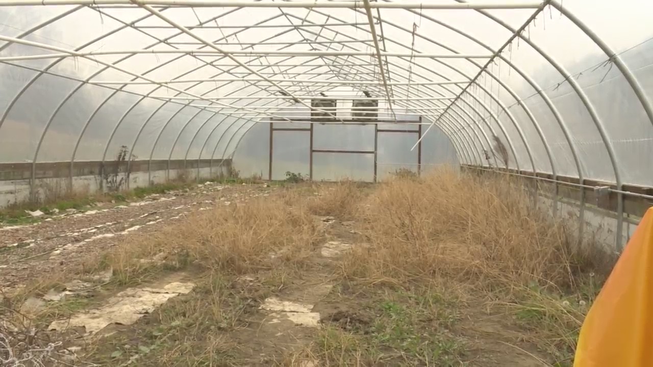 Raleigh County Solid Waste Authority Fresh Vegetable Initiative – WVNS