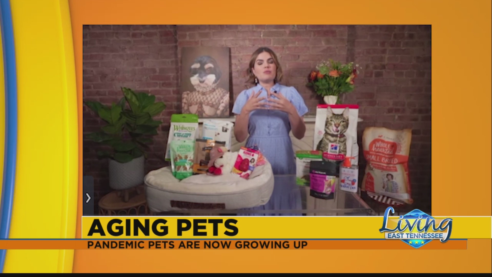 Aging Pets – WATE 6 On Your Side