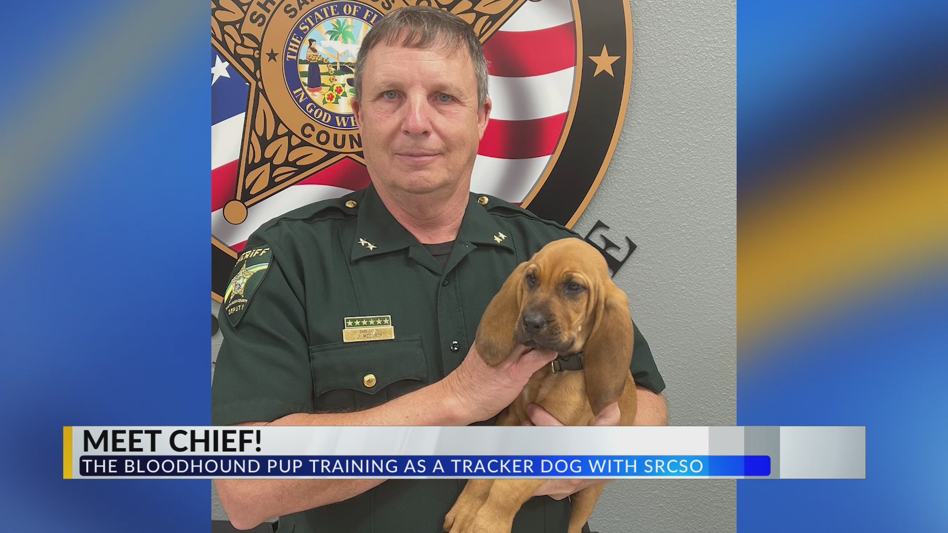 Santa Rosa Co. Sheriff’s Office welcomes newest K9 ‘Chief’ – WKRG News 5