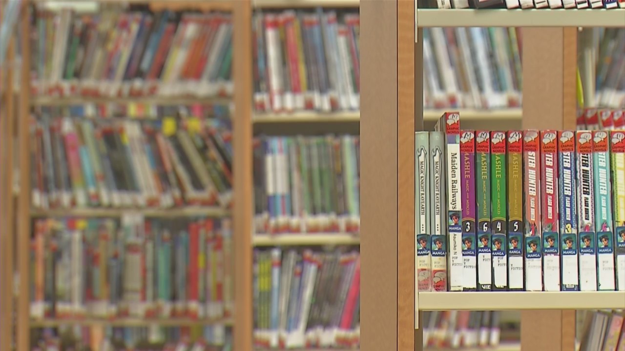 What were the most popular books at Erie County libraries in 2023 ...