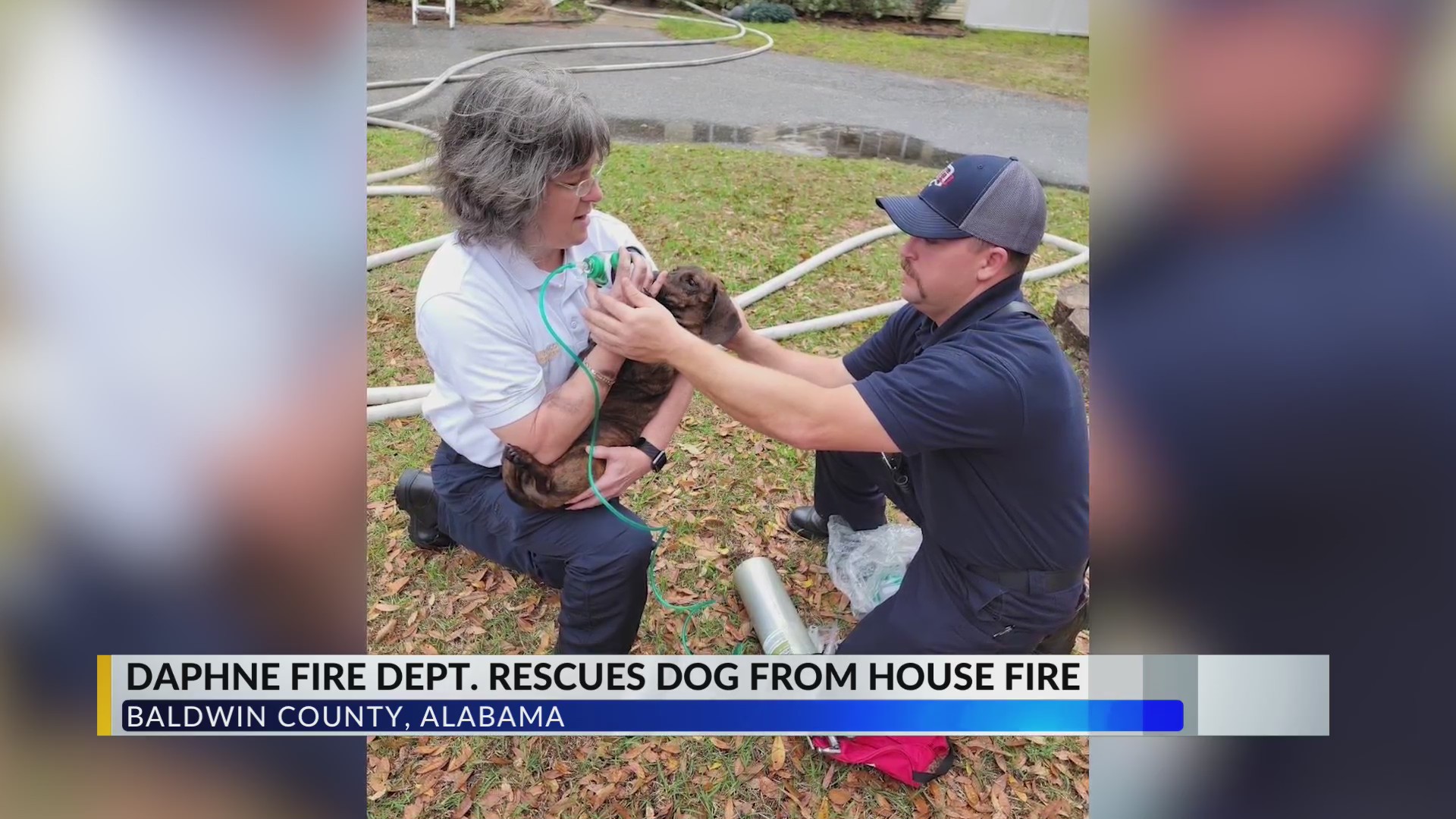 Daphne Fire Department rescues dog from house fire – WKRG News 5