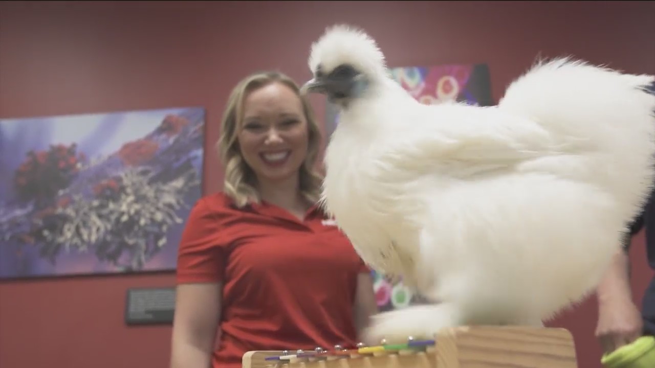 Connecting with COSI: Farm Days – NBC4 WCMH-TV