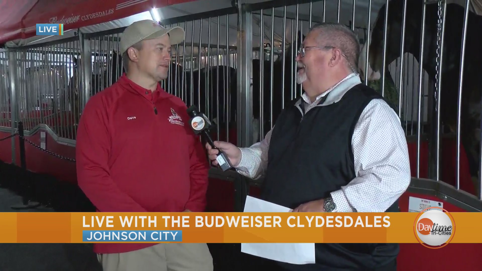 Daytime LIVE with the Budweiser Clydesdales – WJHL | Tri-Cities News ...
