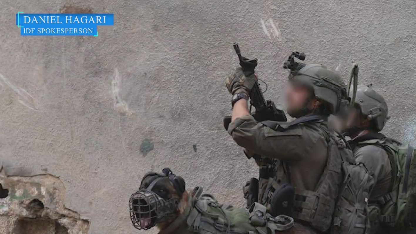 IDF dogs trained in search and rescue, bomb detection | NewsNation Now ...