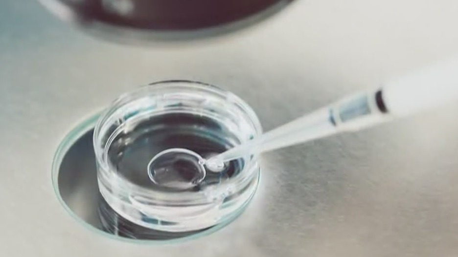 Frozen embryo controversy: Is Alabama making IVF illegal? | Dan Abrams ...