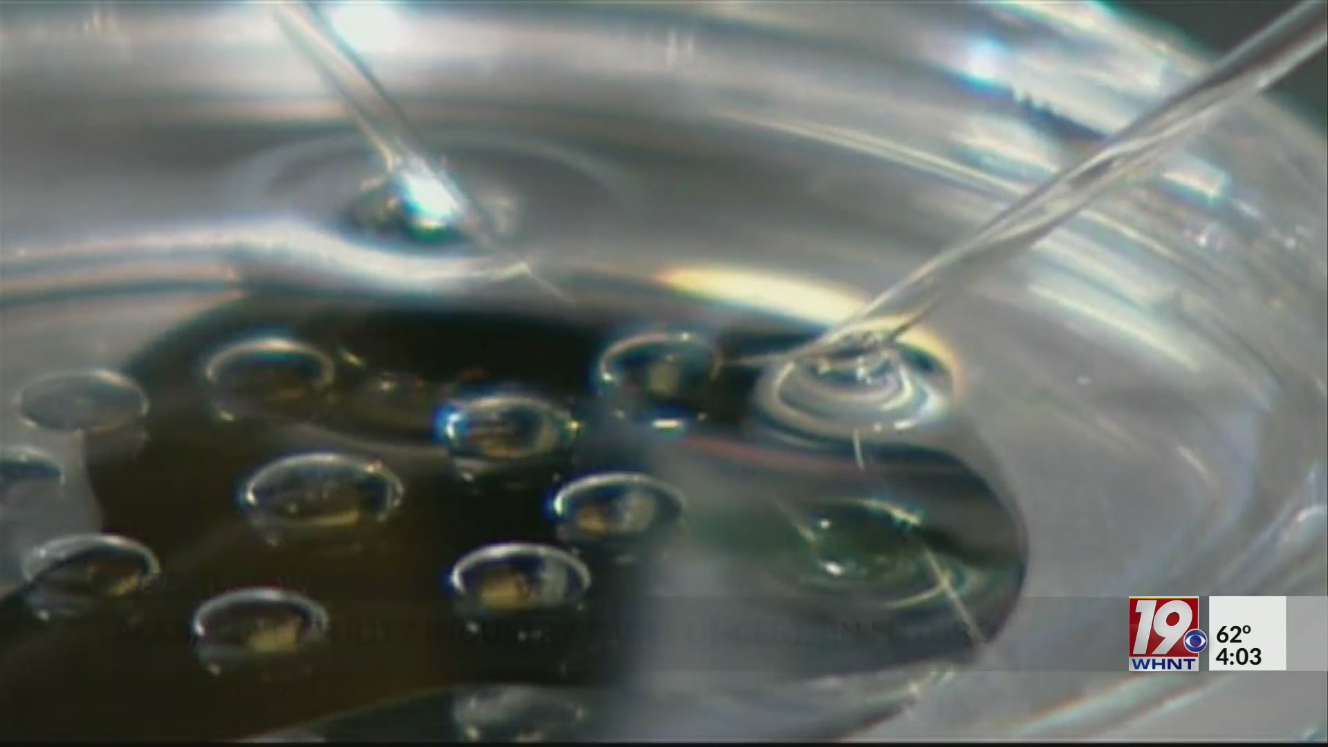 Alabama Frozen Embryo Ruling | February 20, 2024| News 19 at 4 p.m ...