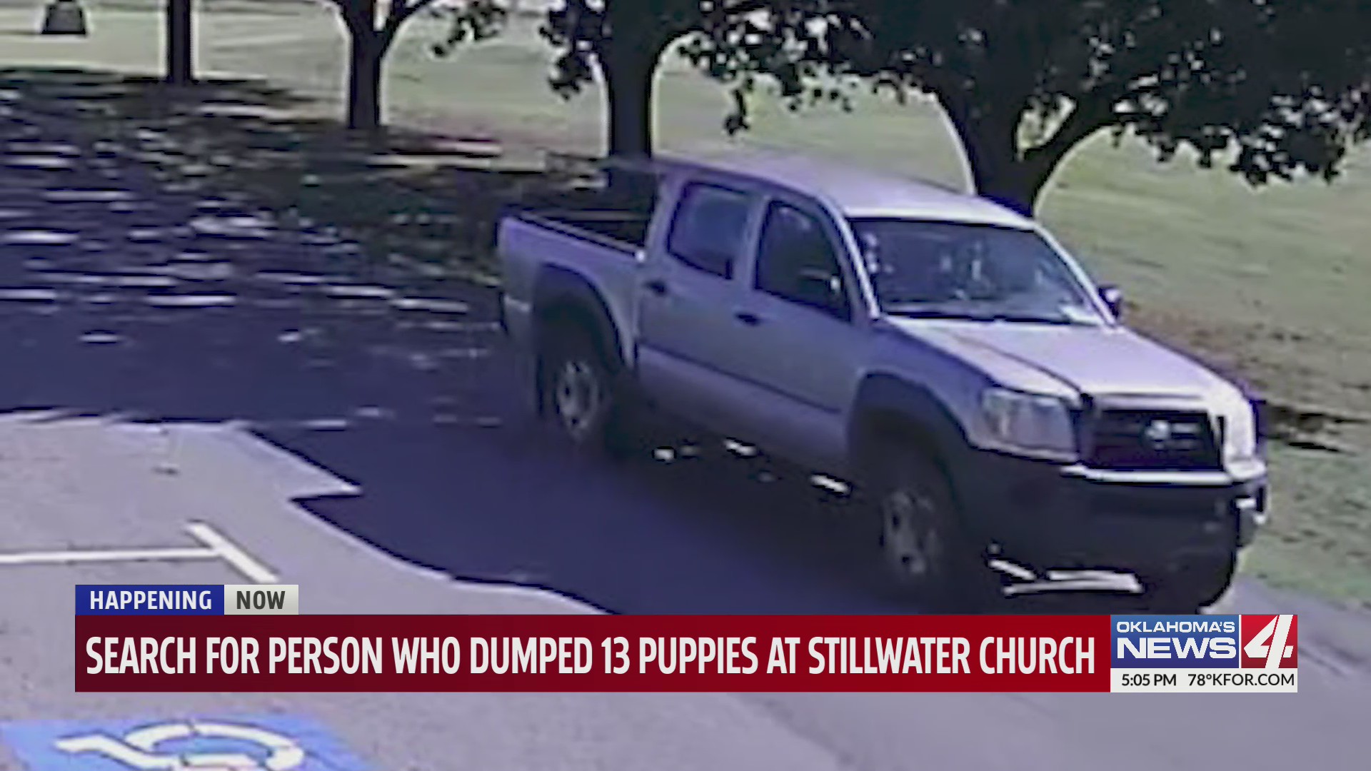 Stillwater Animal Welfare searches for answers after 13 puppies dumped ...