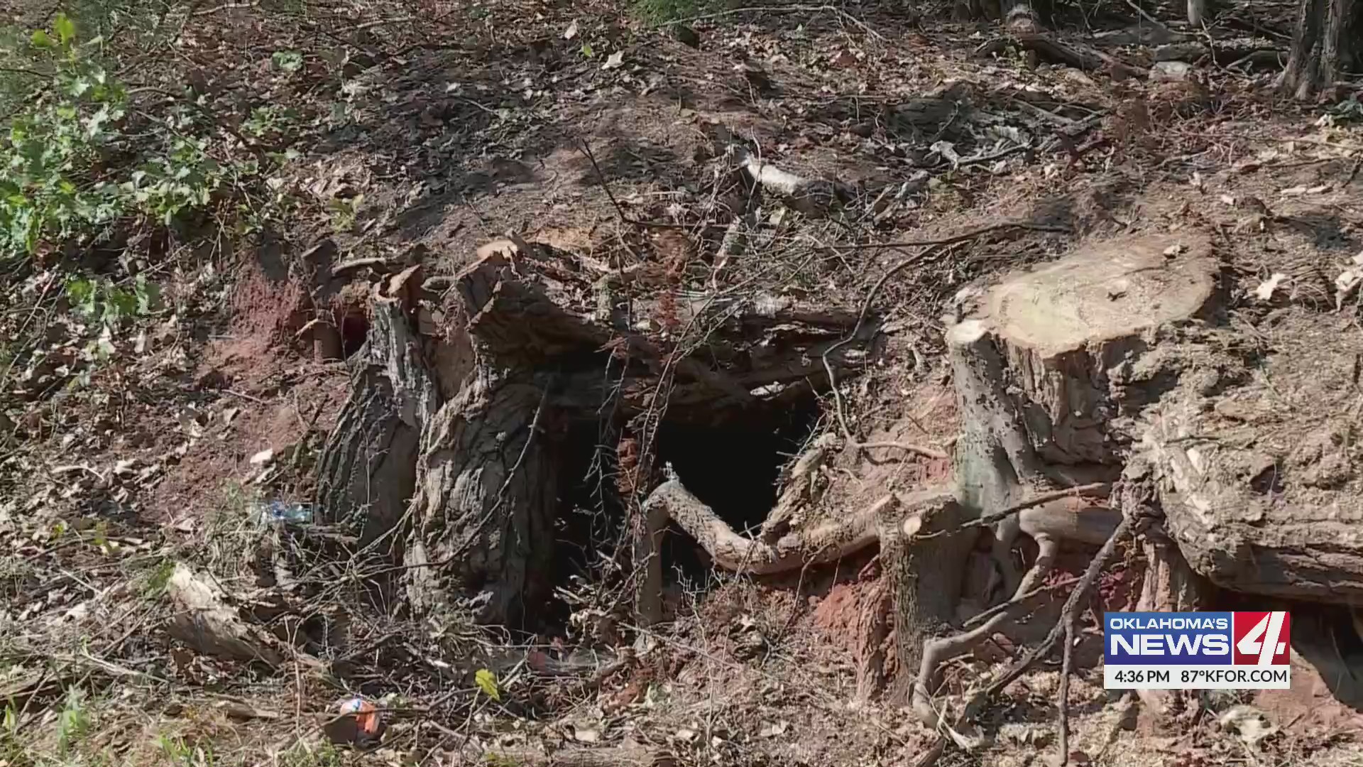 Residents upset after trees cut down to stump – KFOR.com Oklahoma City