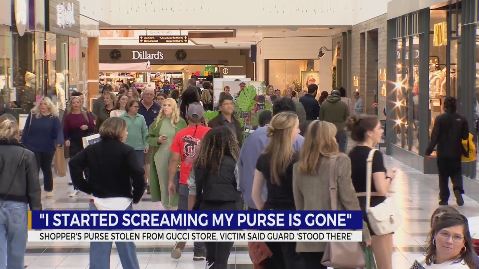 Shopper’s purse stolen from TN Gucci store; Victim says guard just ...