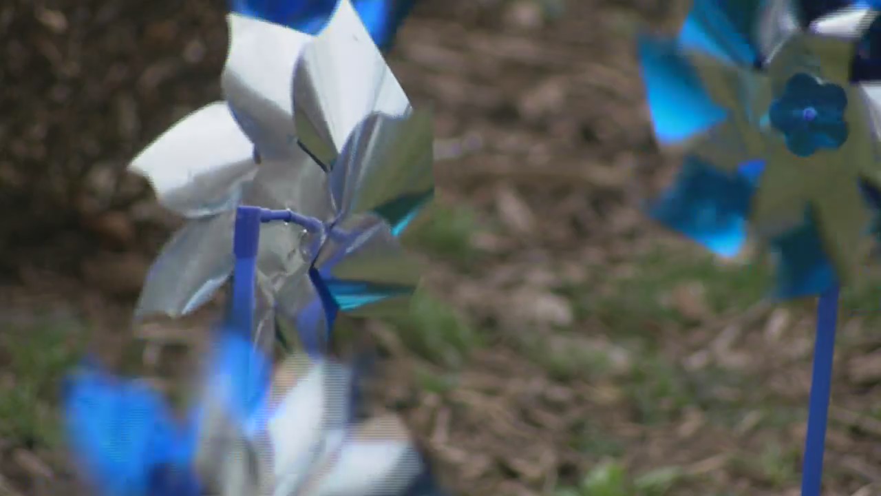 Pinwheels for Prevention – WFRV Local 5 – Green Bay, Appleton