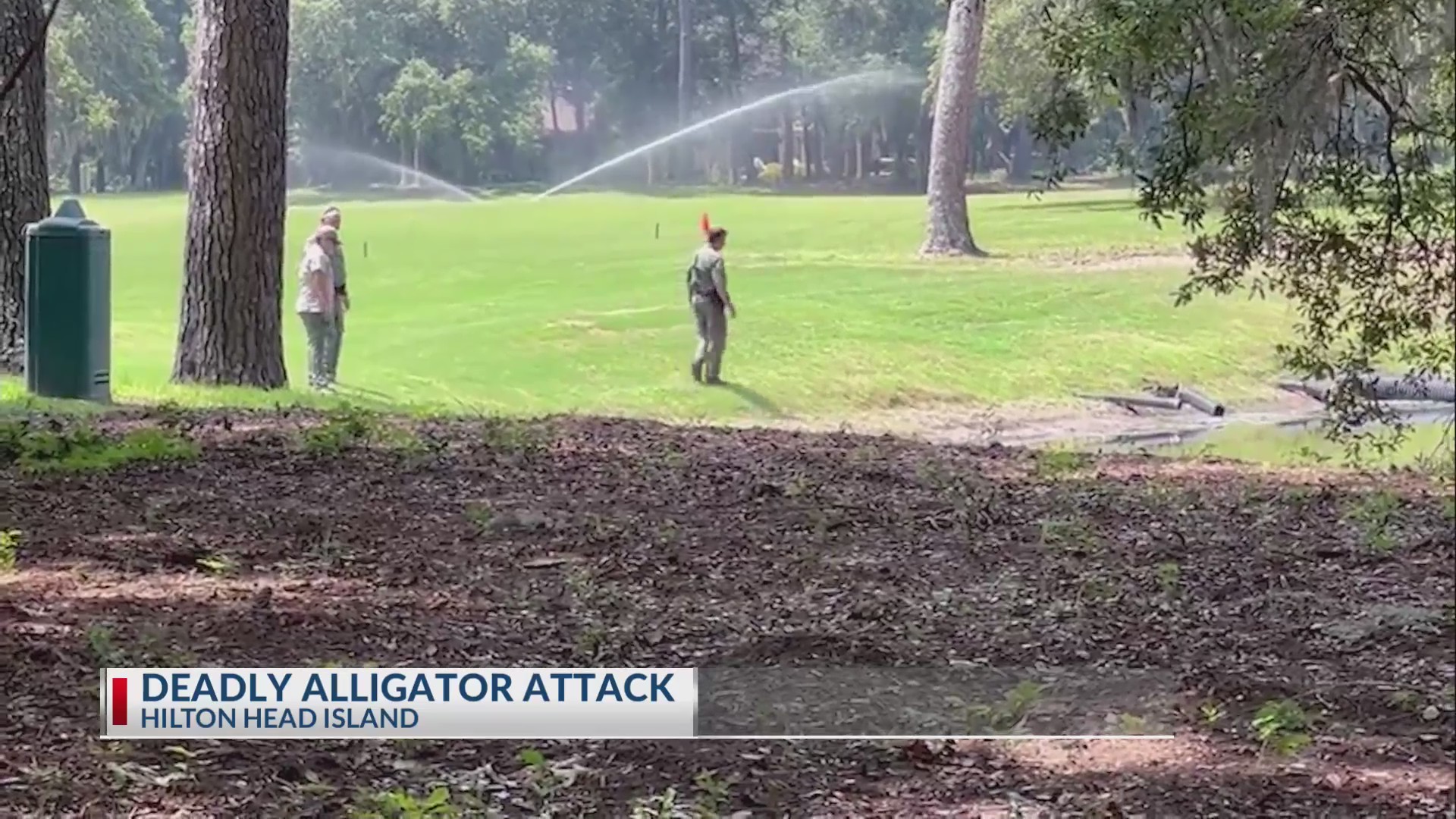Woman found dead near lagoon, alligator guarding her body on HHI – WCBD ...