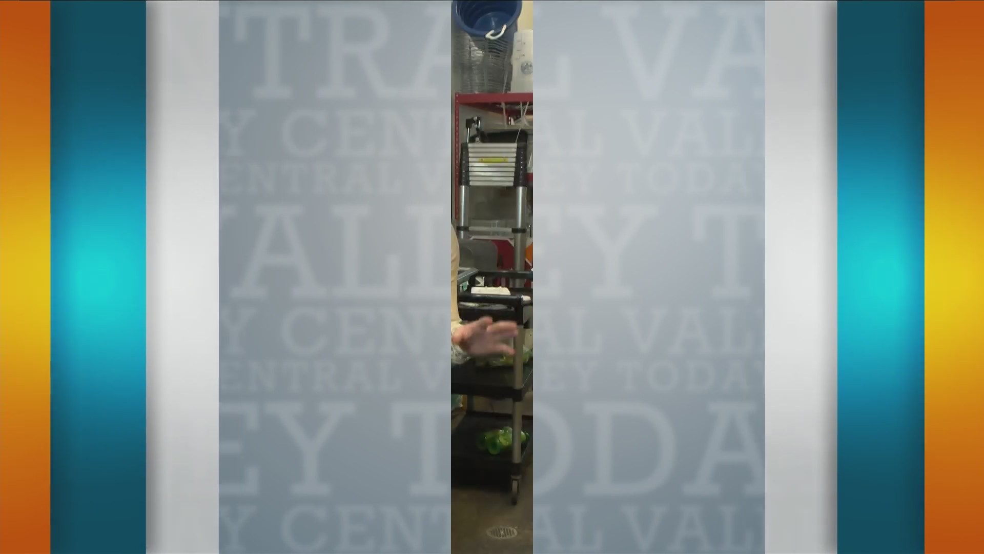 Central Valley Today! Dab Tacos – YourCentralValley.com | KSEE24 and CBS47