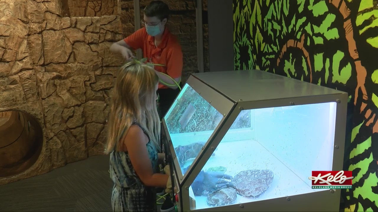 A closer look inside the Kirby Science Discovery Center – KELOLAND.com
