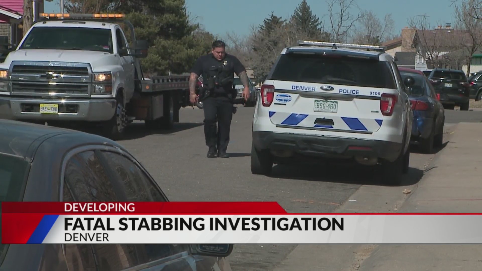 Man killed in stabbing, police investigating – FOX31 Denver