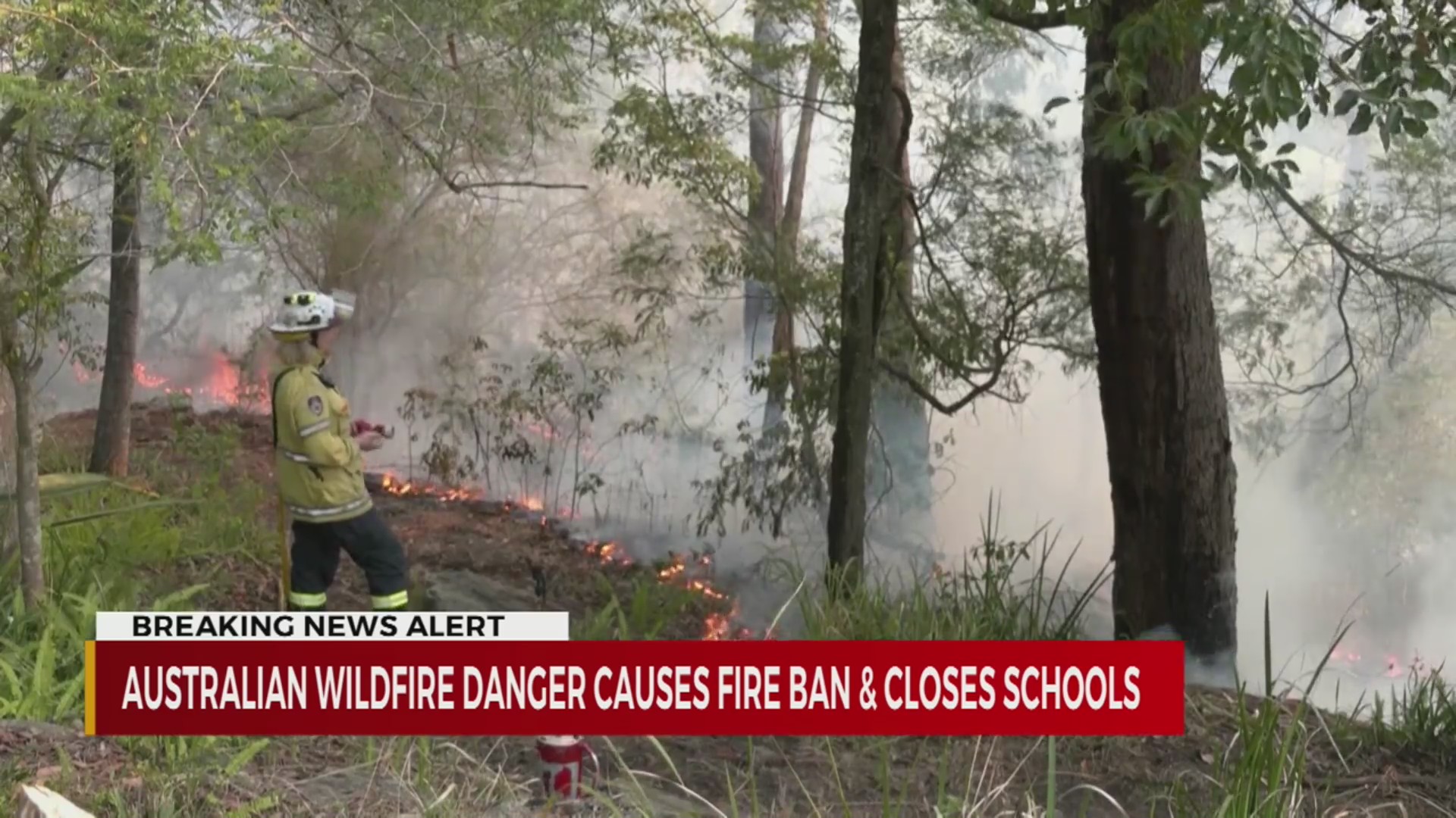 Australian wildfire danger causes fire ban in Sydney – WKRN News 2