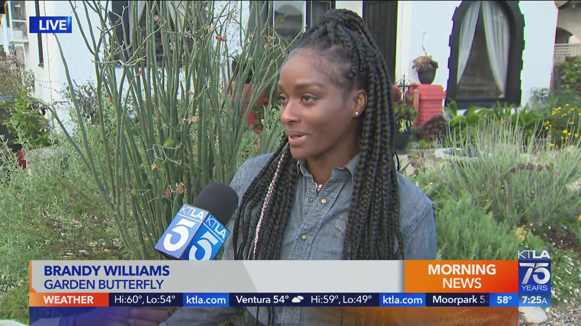 Brandy Williams – KTLA