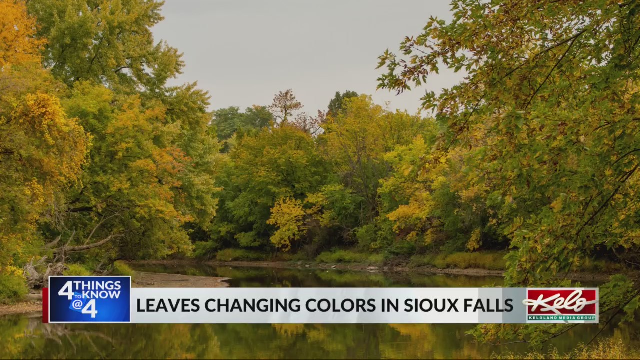 PHOTOS: Leaves changing colors in Sioux Falls – KELOLAND.com