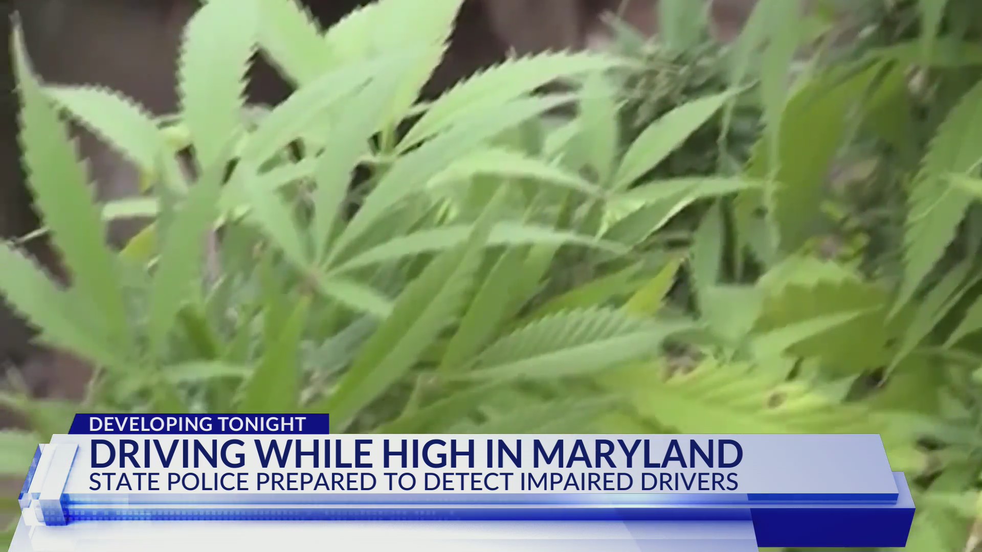 Maryland State Police share the consequences of driving while high – DC ...