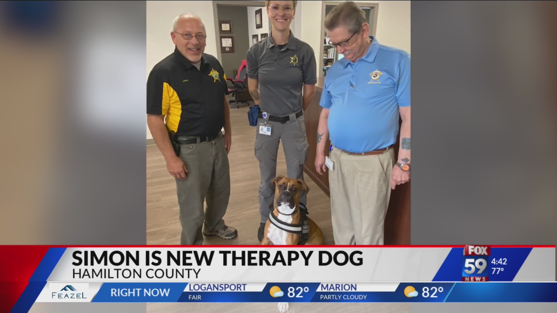 Hamilton County Coroner’s office gets new therapy dog – Fox 59