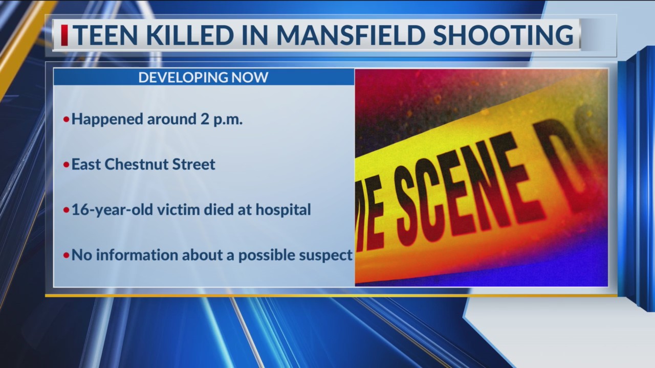Teen killed in Mansfield shooting – NBC4 WCMH-TV