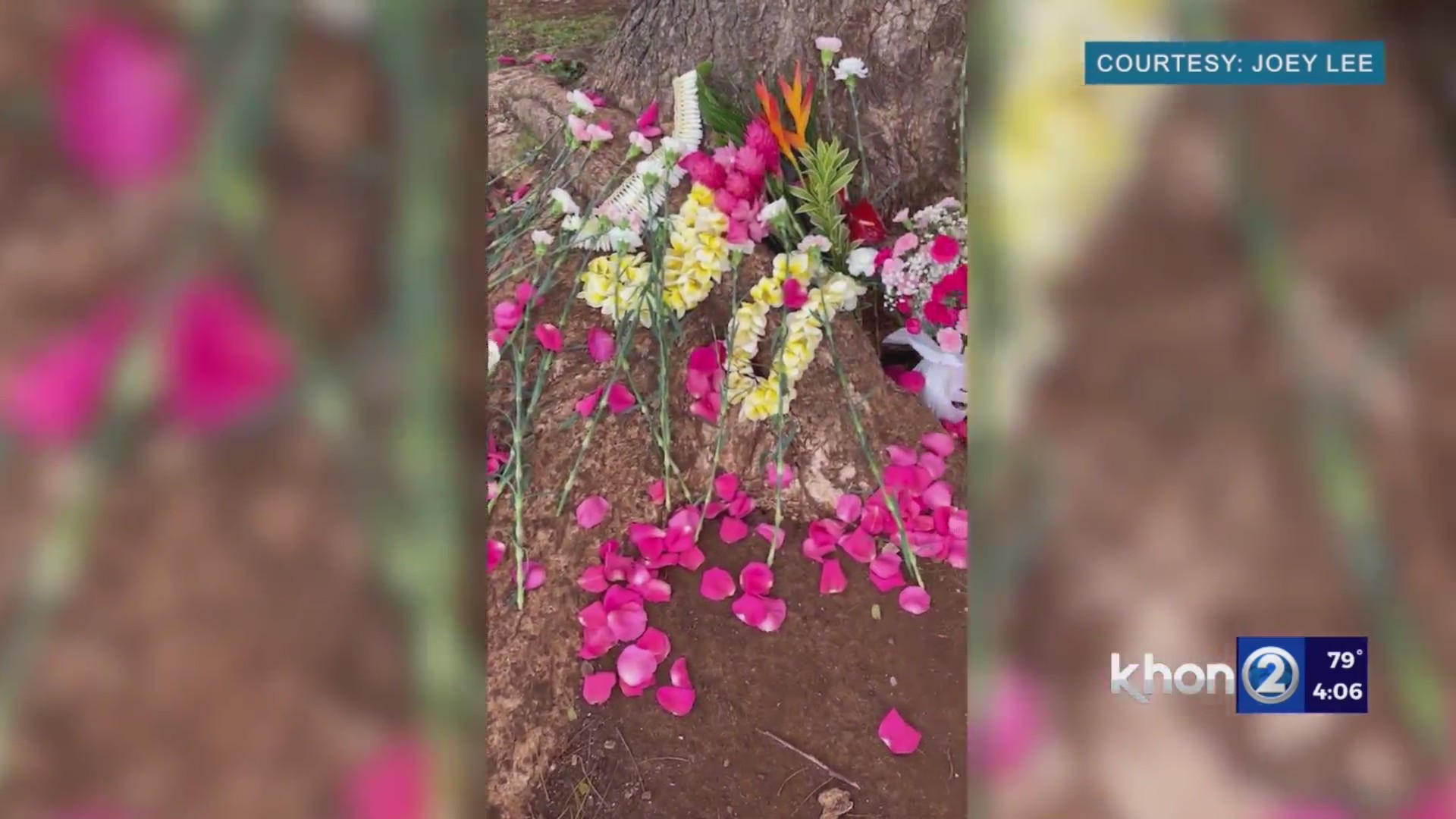 Friends, teammates remember children in Manoa murder – KHON2