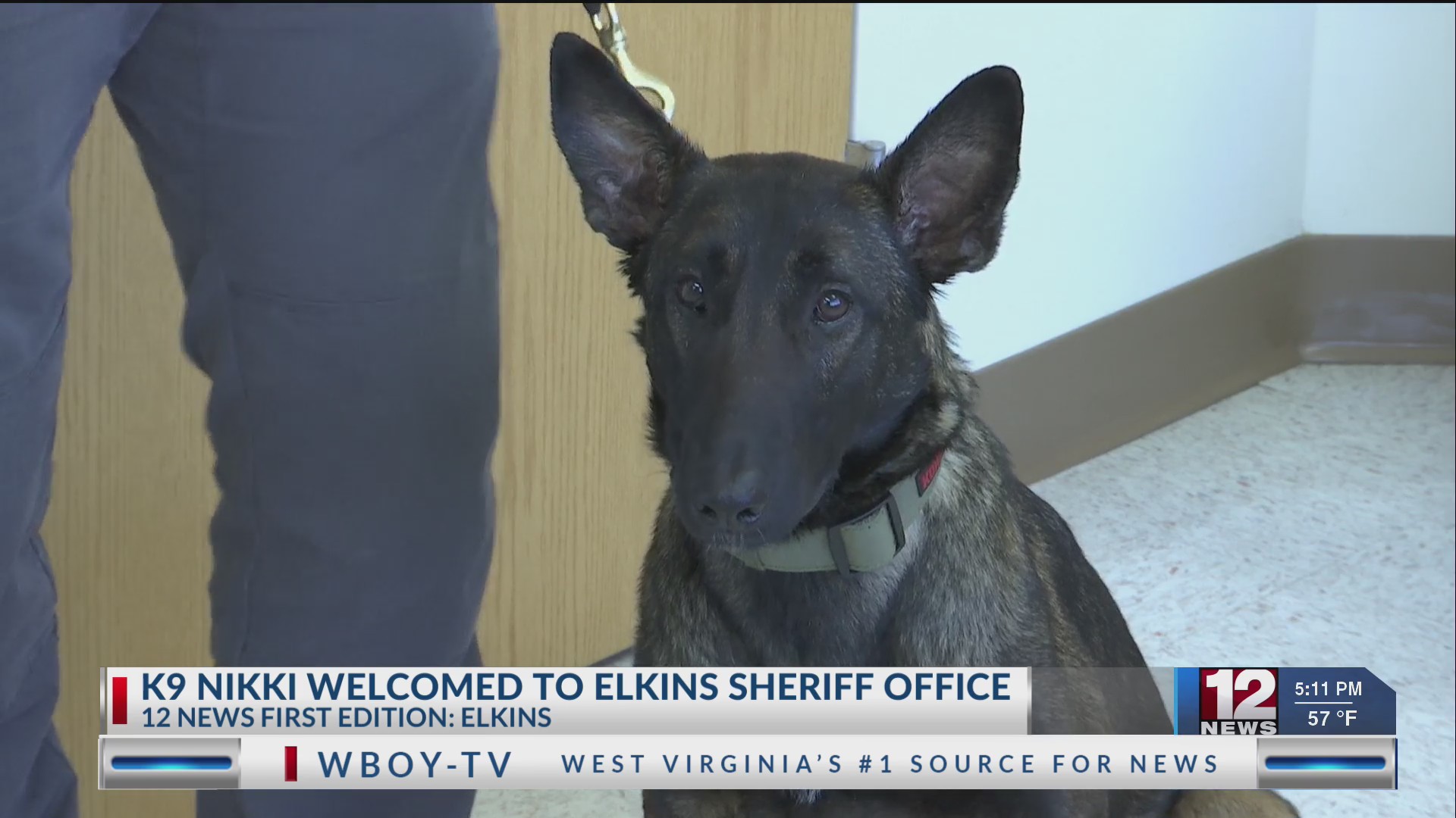 Randolph County Sheriff’s Office welcomes new K-9 Nikki – WBOY.com