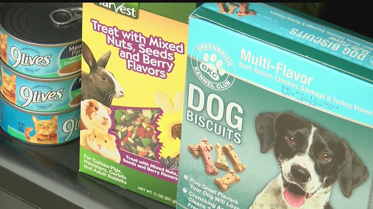Local dog warden gives advice on how to care for emaciated pets 2 ...