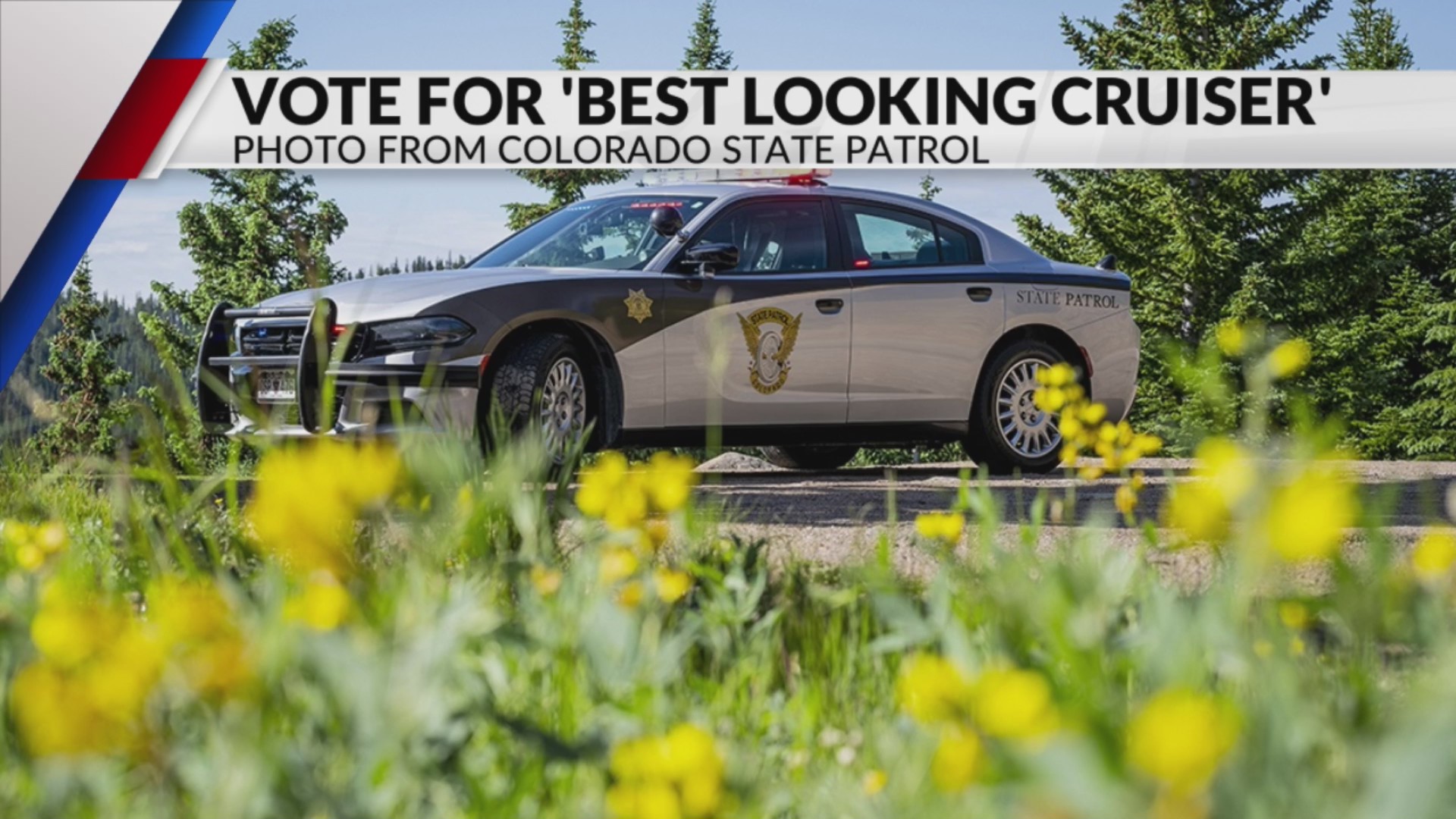 Colorado State Patrol needs your vote in a national competition – FOX31 ...