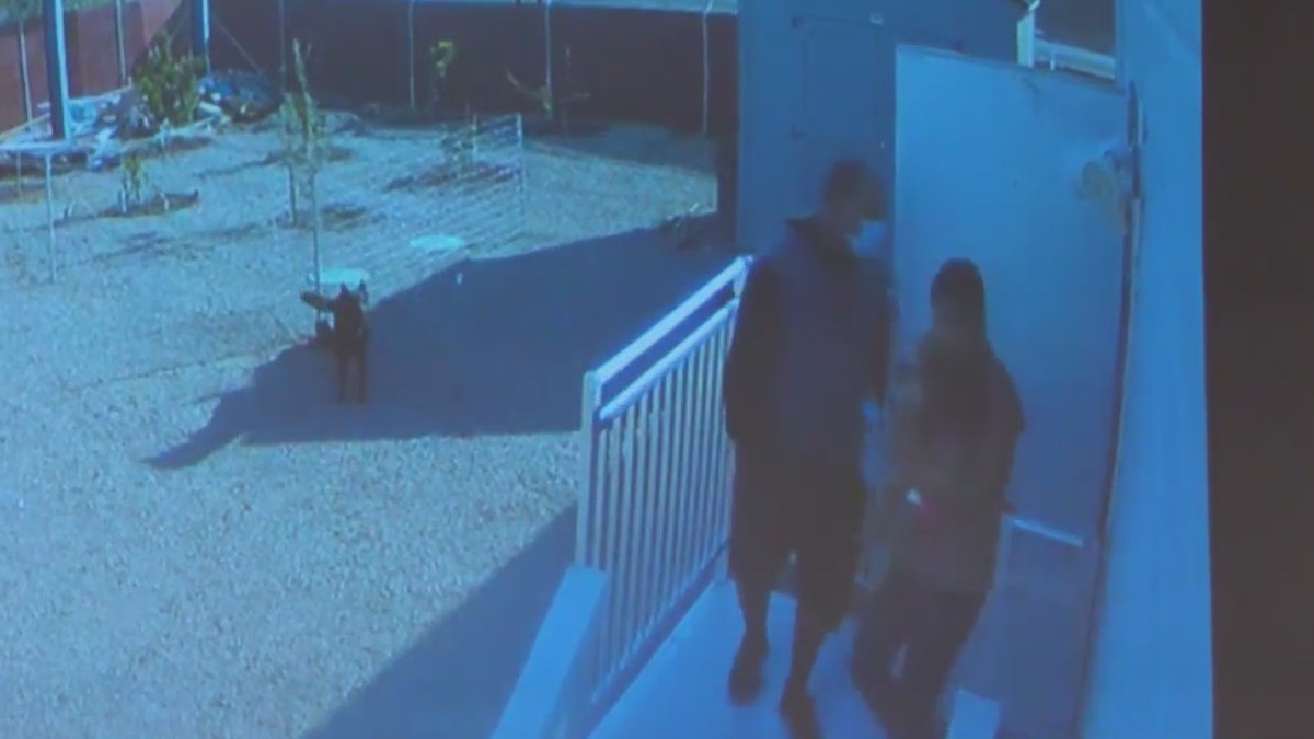 Missing family of 4 found dead in California | NewsNation Live – NewsNation