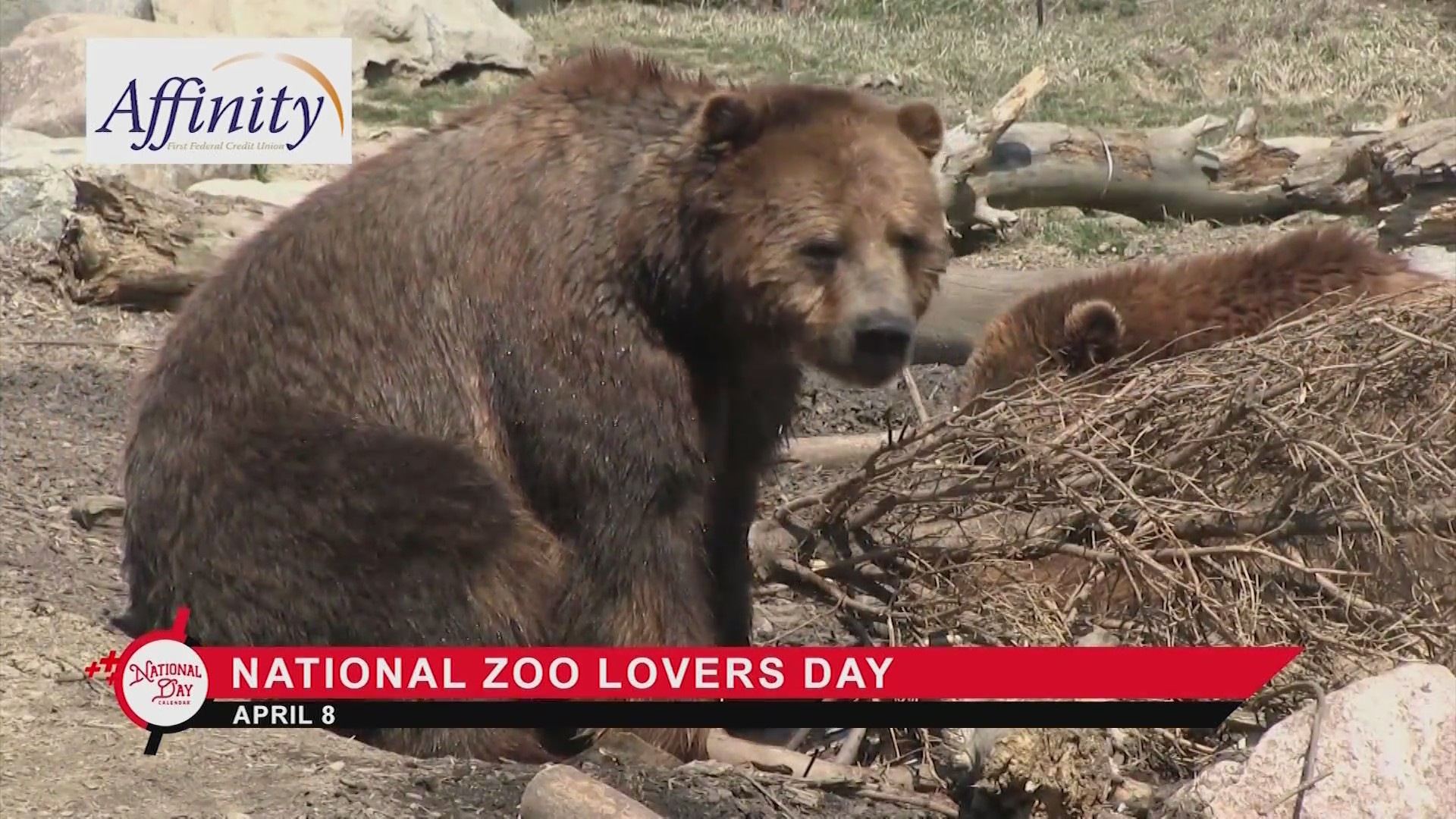NATIONAL DAY CALENDAR: National Zoo Lovers Day – KX NEWS