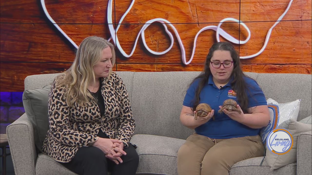 Woo at the Zoo – KELOLAND.com