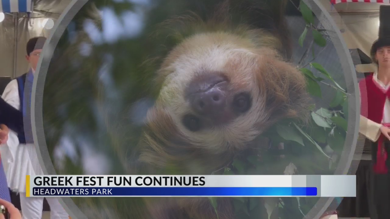 zoo adds sloth – WANE 15