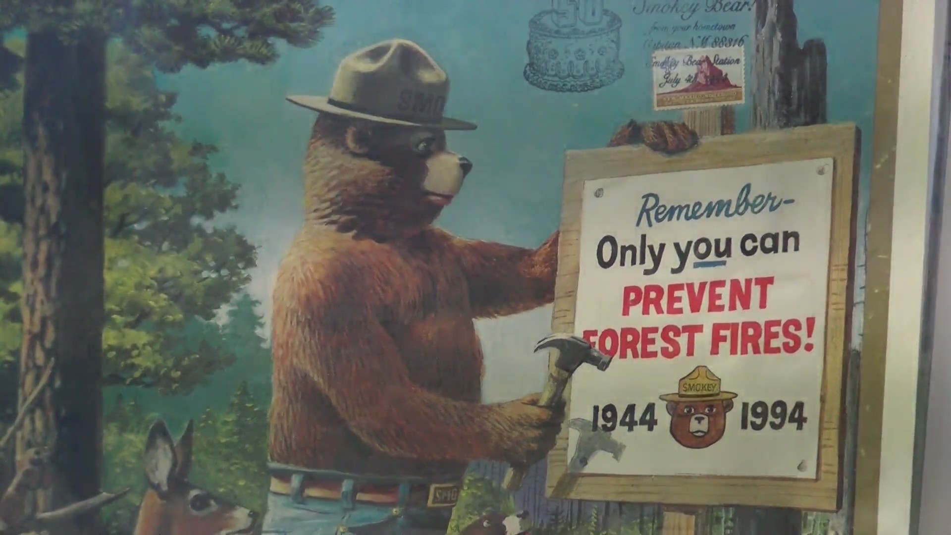 Ridin’ with Smokey: Famous bear mascot might be used for special ...