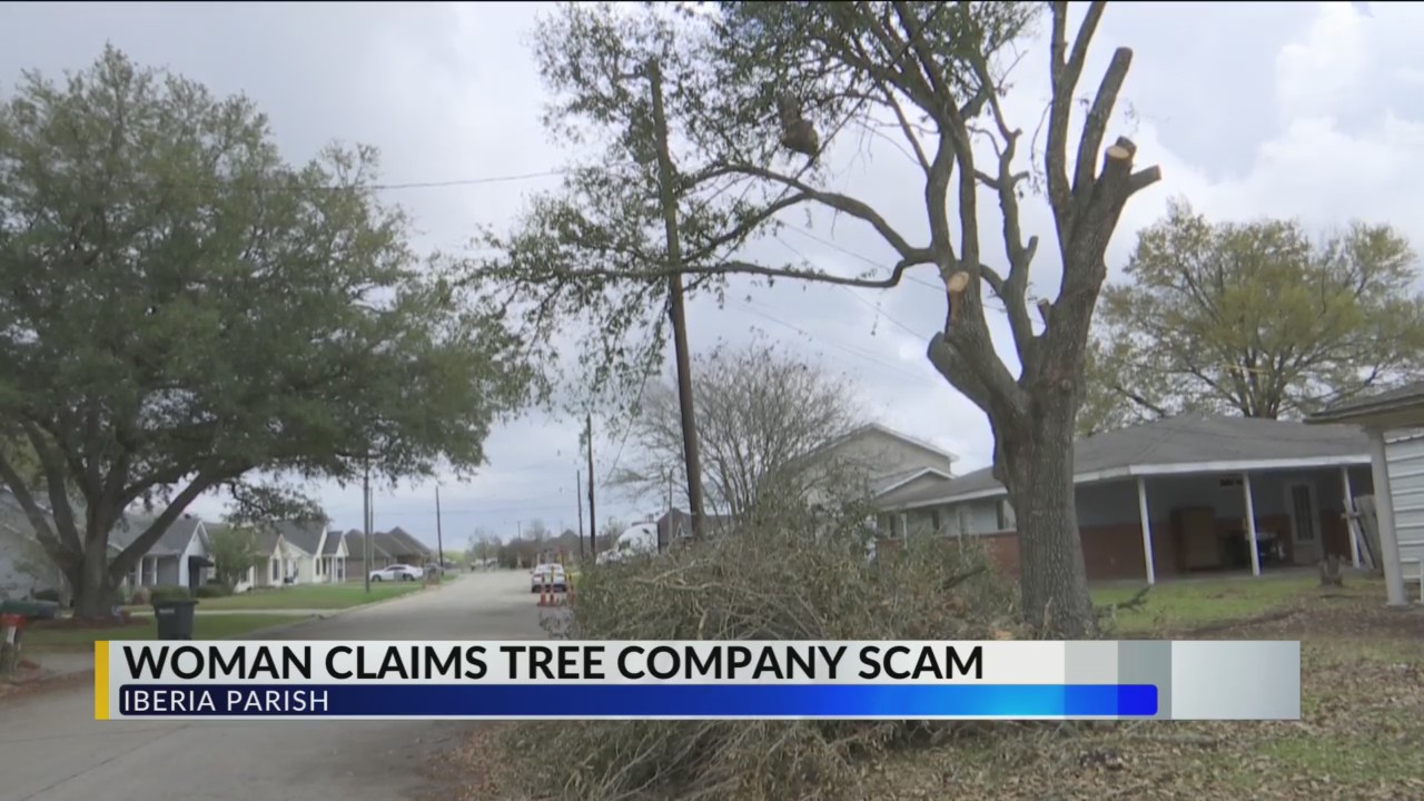 Woman claims tree company is not fulfilling its promises – KLFY.com