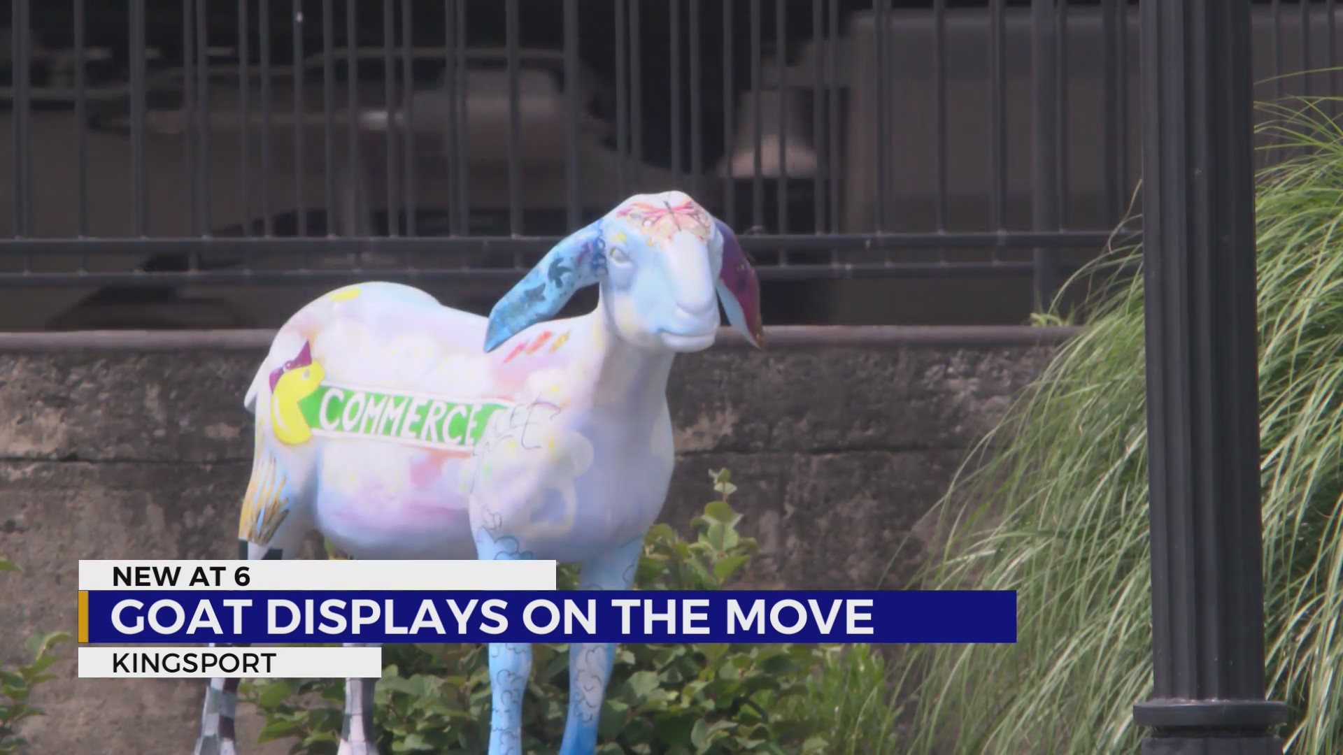Painted goats ‘grazing’ in downtown Kingsport ahead of Fun Fest – WJHL ...
