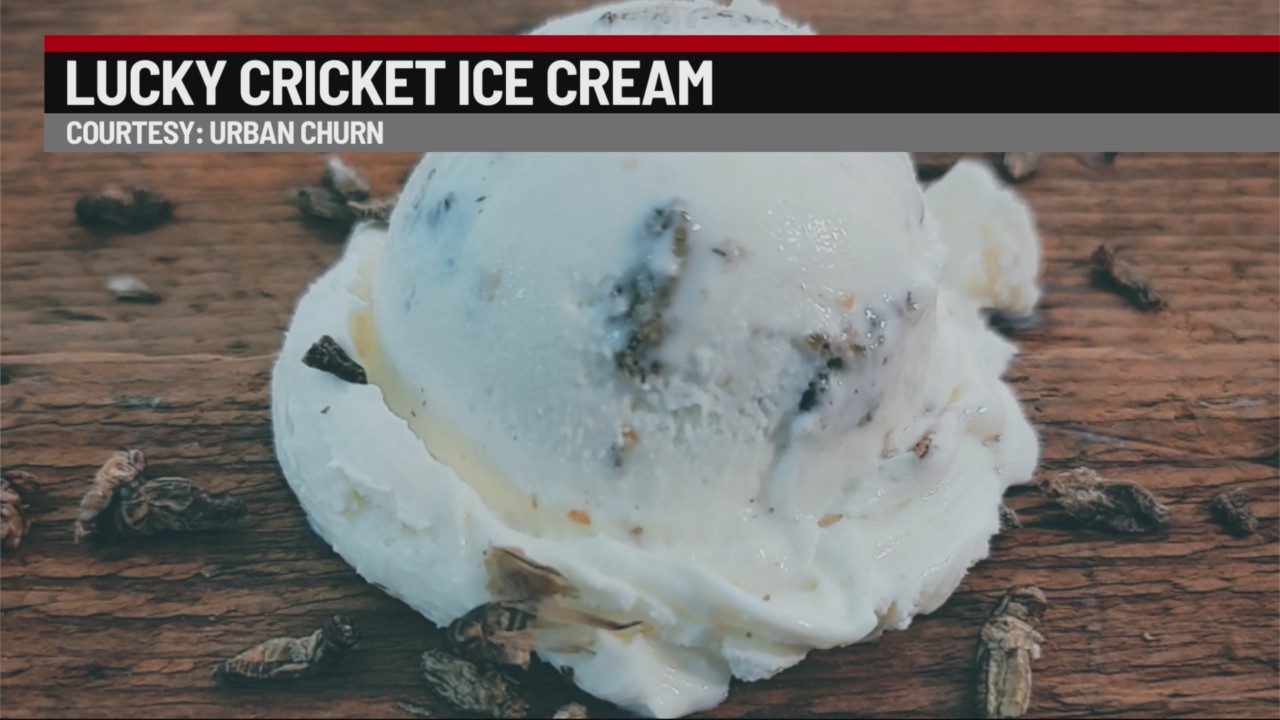 Lucky Cricket Ice Cream at Urban Churn – PAhomepage.com