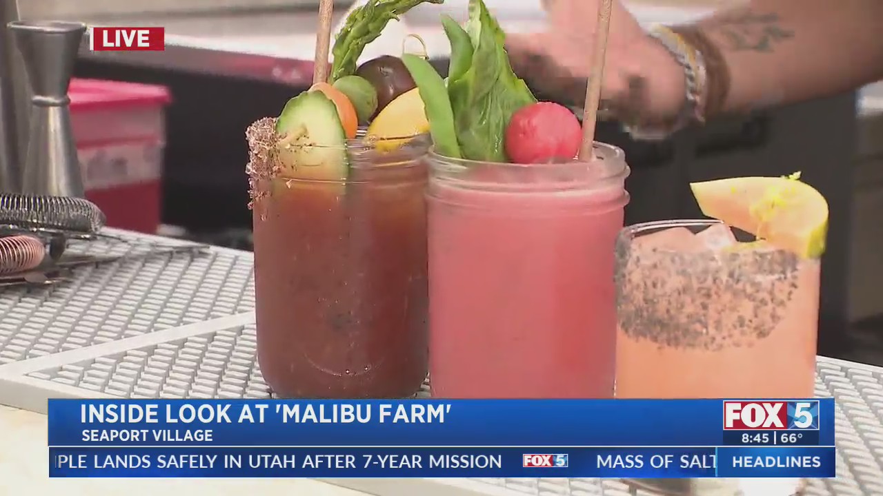 Malibu Farm At Seaport Village – FOX 5 San Diego & KUSI News