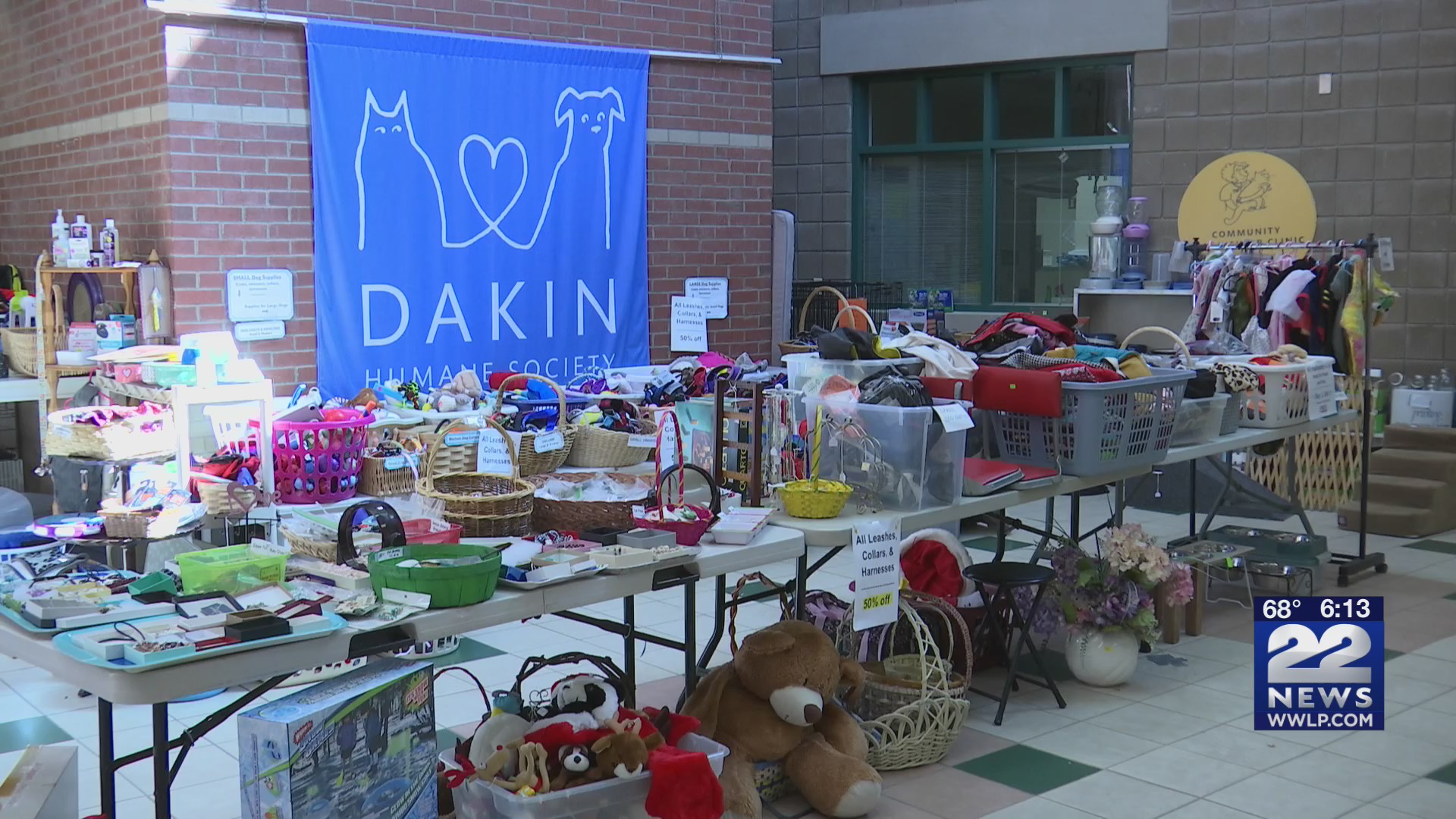 Dakin Humane Society walk-in adoption event “Subaru Loves Pets” – WWLP