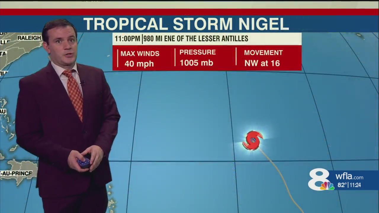 TS NIGEL FORMS – WFLA