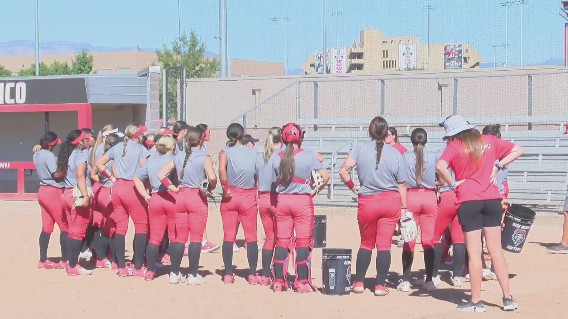 Lobo softball progressing with 7 returning starters – KRQE NEWS 13 ...