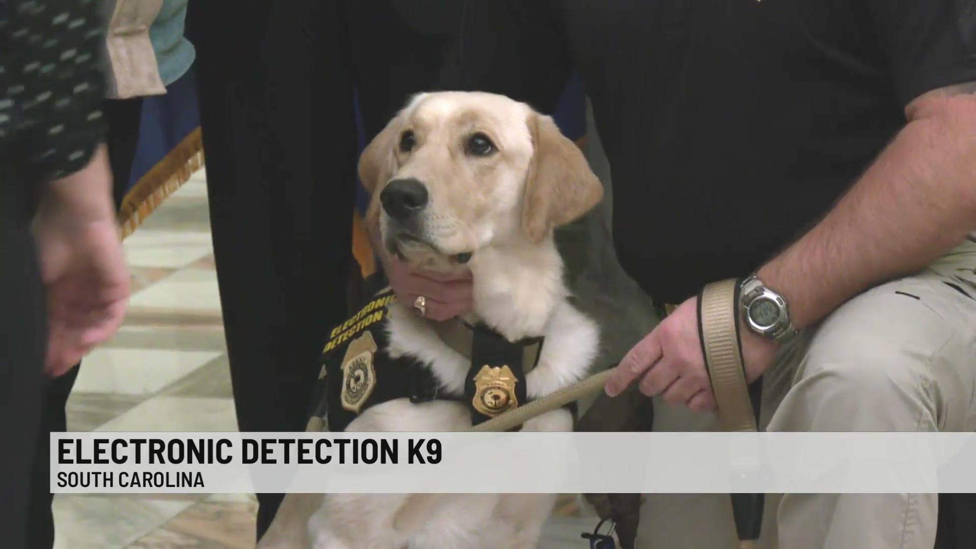 SC probation & parole agency welcomes new electronic detection K-9 ...