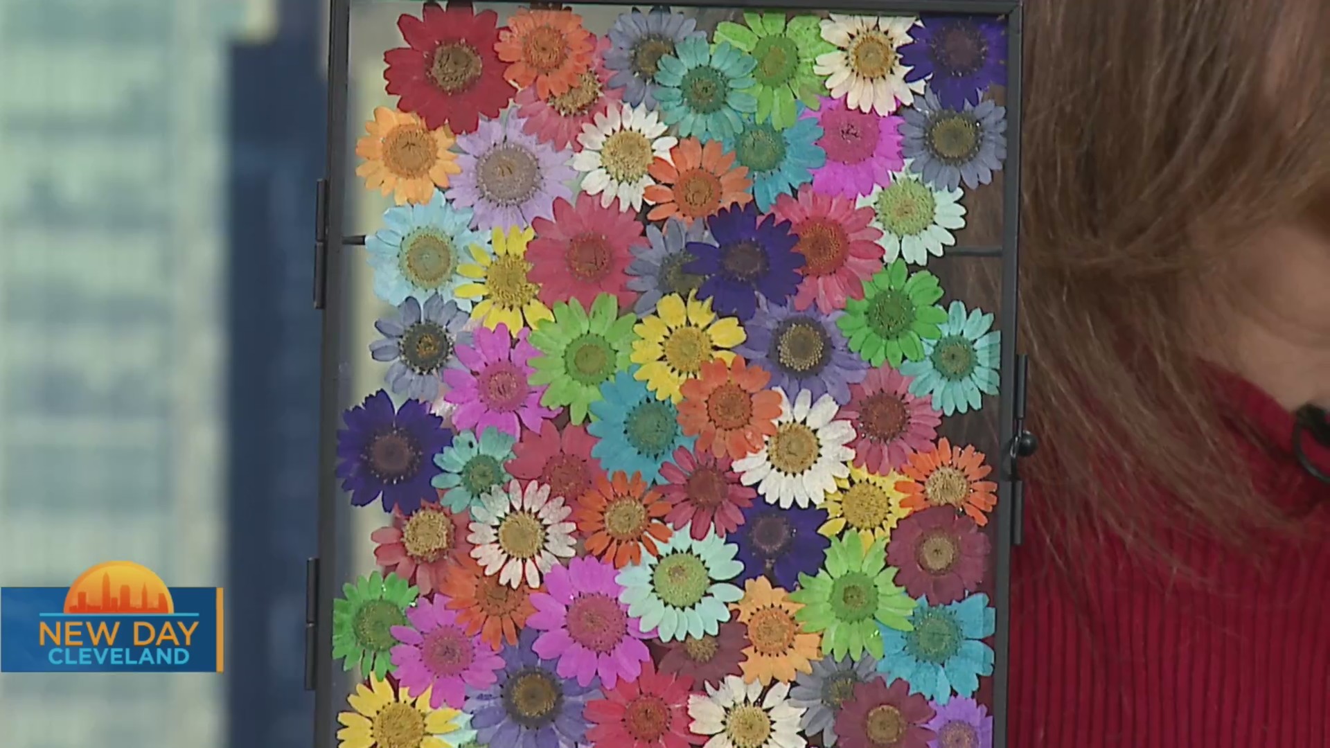 New Day Cleveland: Mystic Meadow Crafts – Fox 8 Cleveland WJW