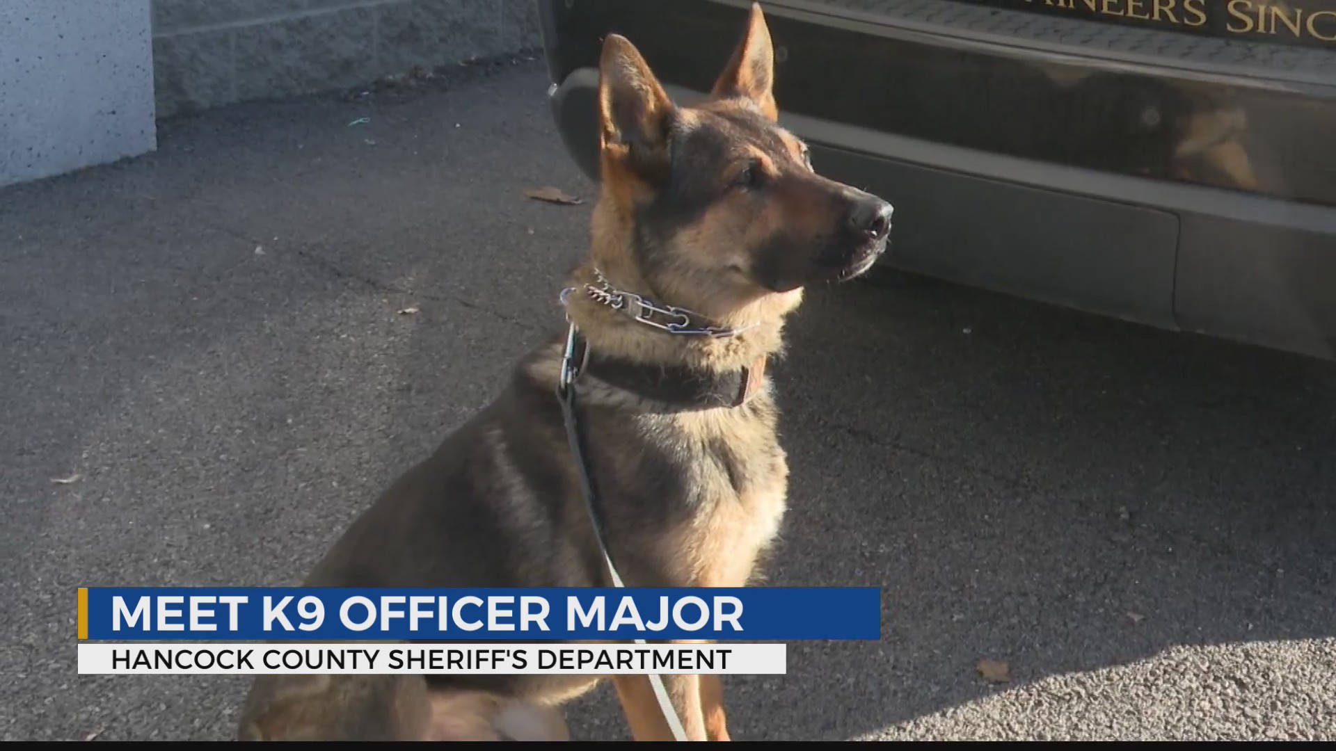 Meet “Major” the newest Ohio Valley K9 – WTRF