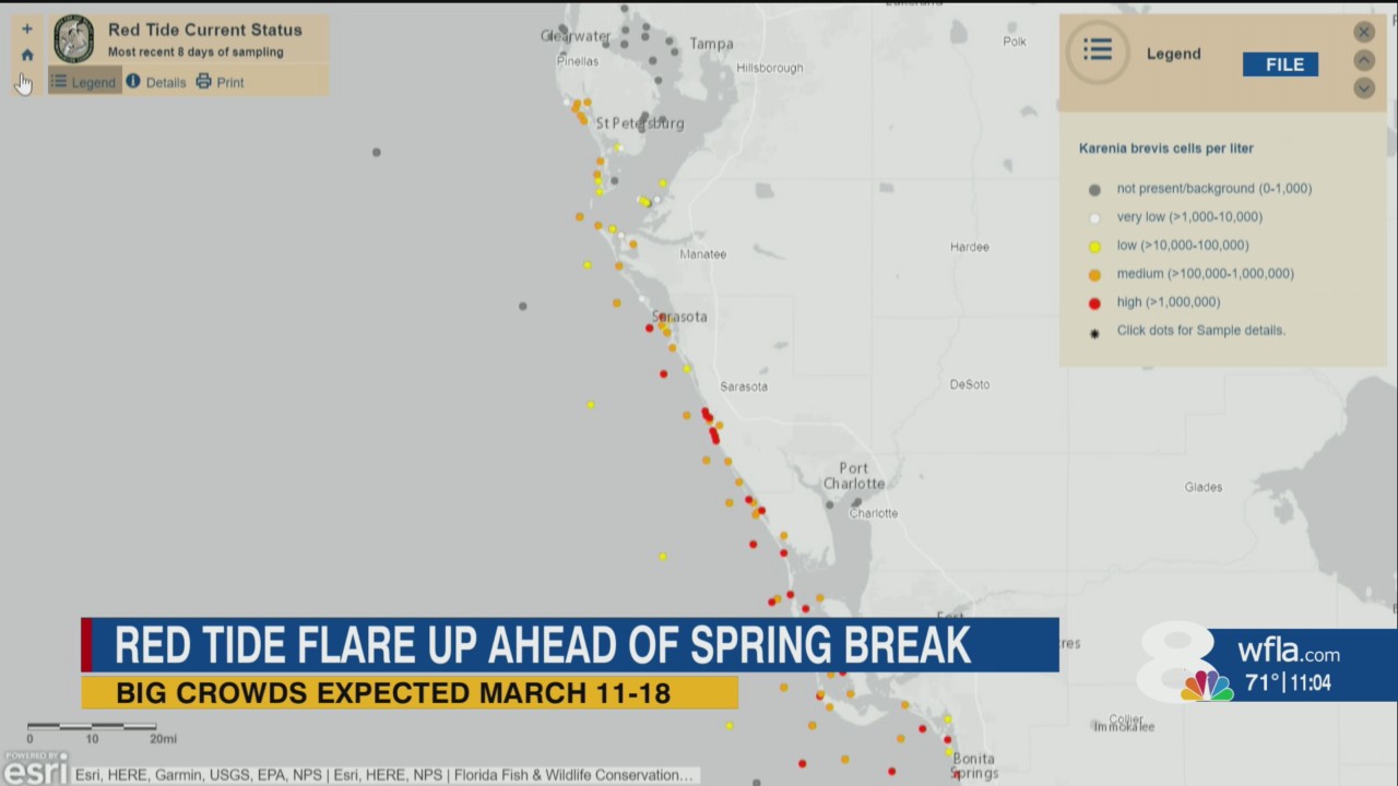 Headed to the beach? Here’s how to check red tide levels in the Tampa ...