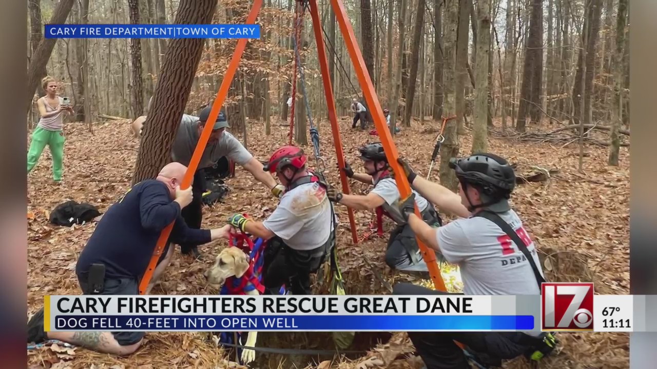 Cary fire crews rescue puppy after 40 foot fall down open well near ...