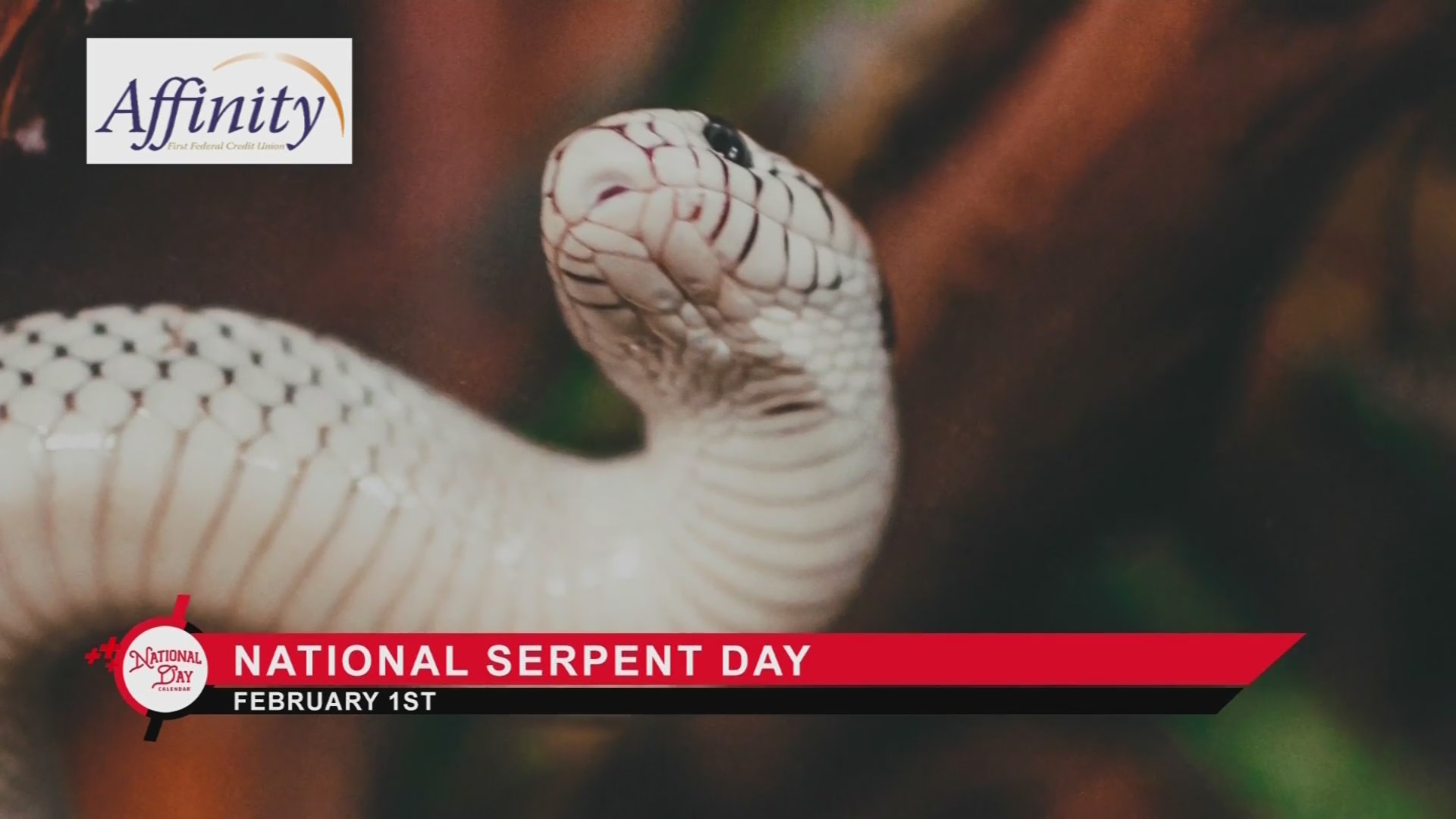 National Day Calendar: National Serpent Day – KX NEWS