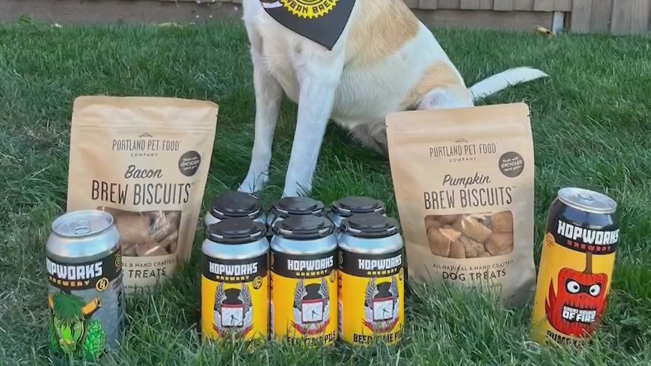 Hopwork’s Dogtoberfest brings beer for both people and pups – KOIN.com