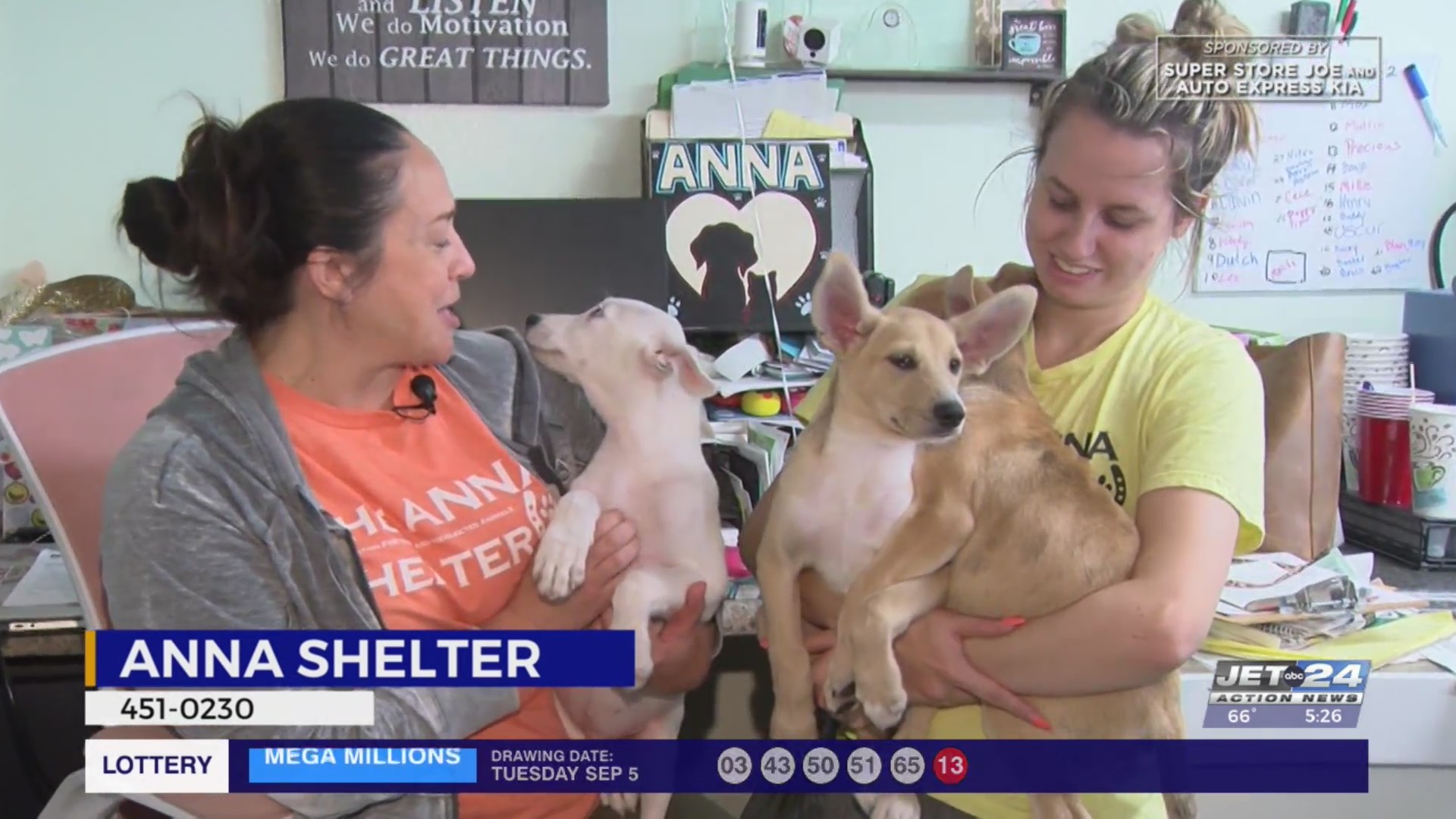 Fascinating Anna Shelter In Erie Pa Pictures